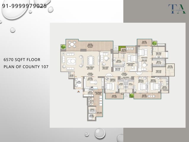 County 107 details sector 107 noida.pptx