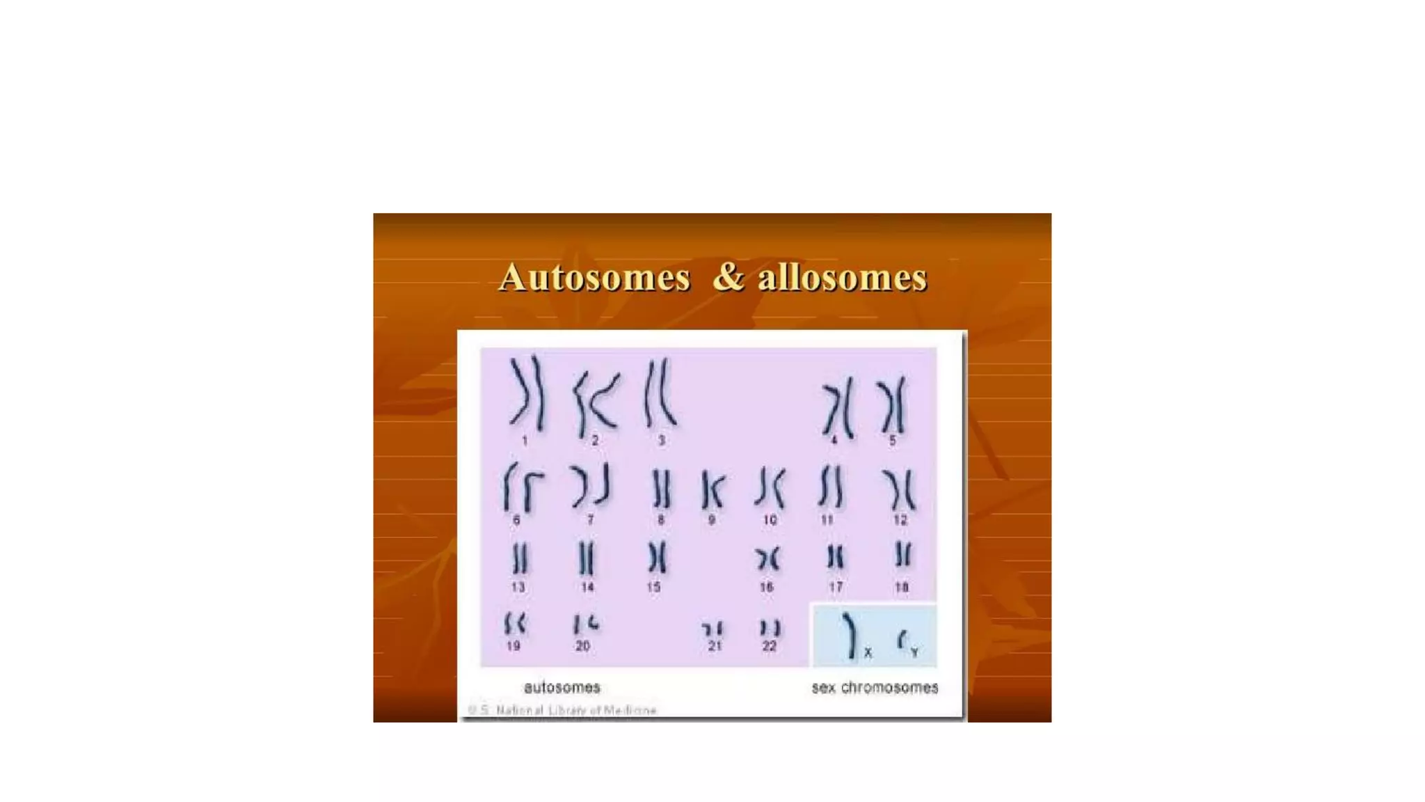 Coupling and repulsion human genetics | PPTX