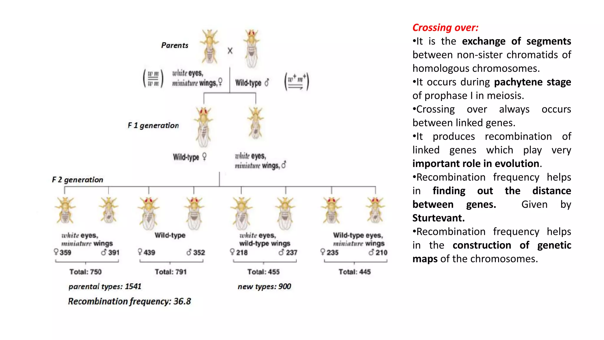 Coupling and repulsion human genetics | PPTX