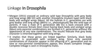 Coupling and repulsion human genetics | PPTX