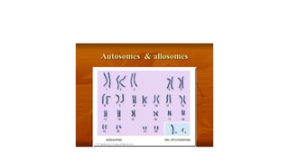 Coupling and repulsion human genetics | PPTX