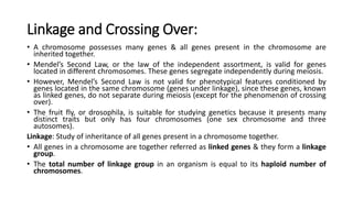 Coupling and repulsion human genetics | PPTX
