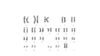 Coupling and repulsion human genetics | PPTX