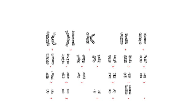 Coupling and repulsion human genetics | PPTX