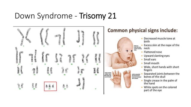 Coupling and repulsion human genetics | PPTX