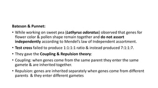 Coupling and repulsion human genetics | PPTX