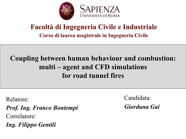 Coupling between human behaviour and combustion | PDF | Physics | Science