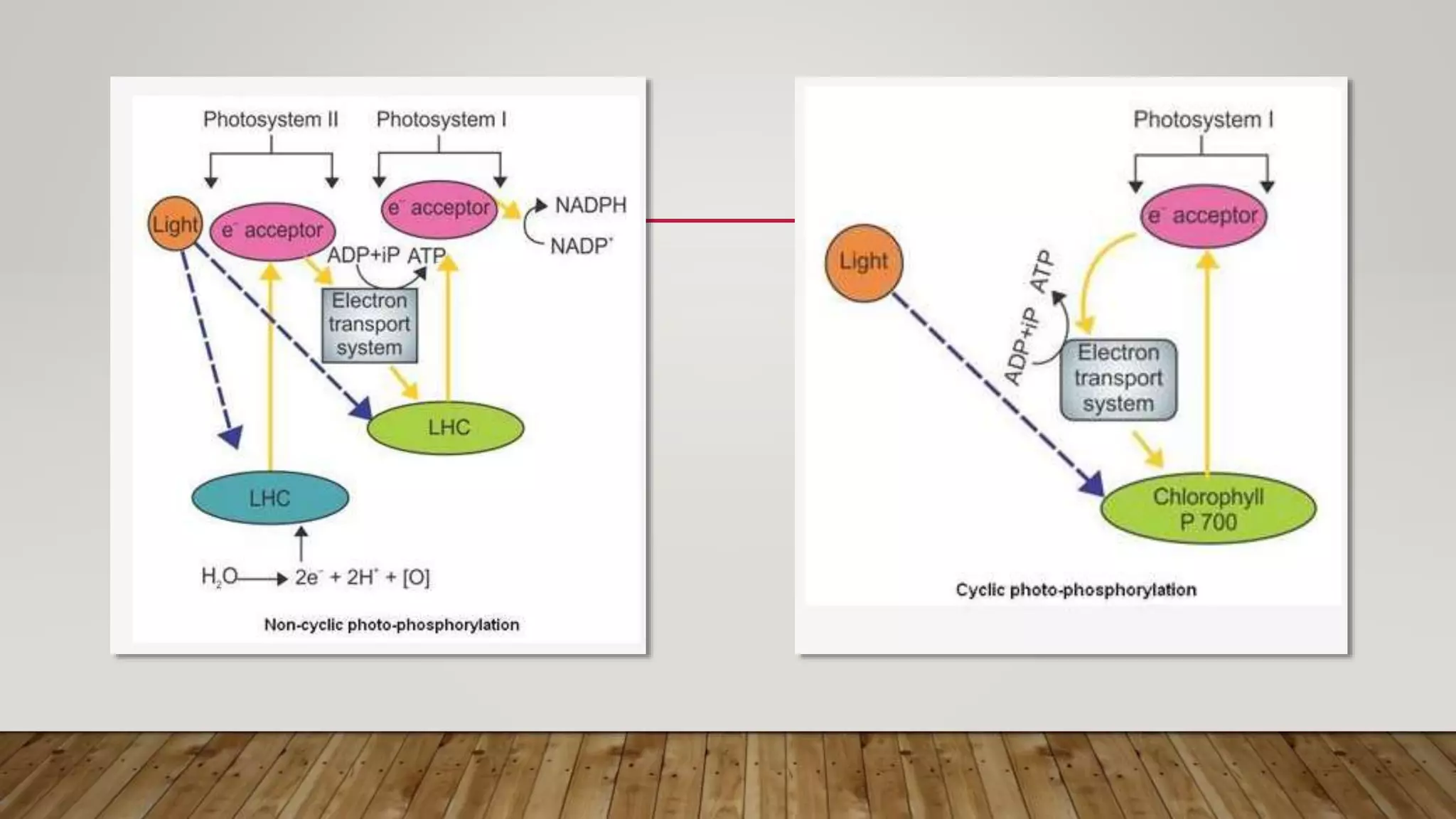 Coupling factors and mechanism of atp synthesis and | PPT