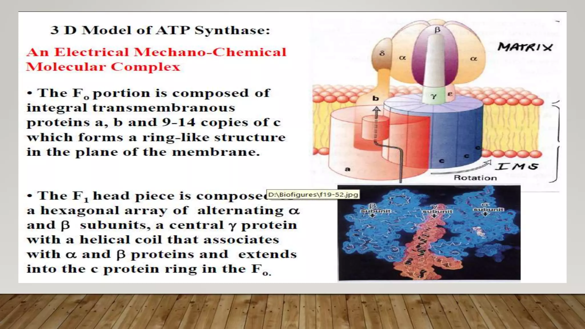 Coupling factors and mechanism of atp synthesis and | PPT