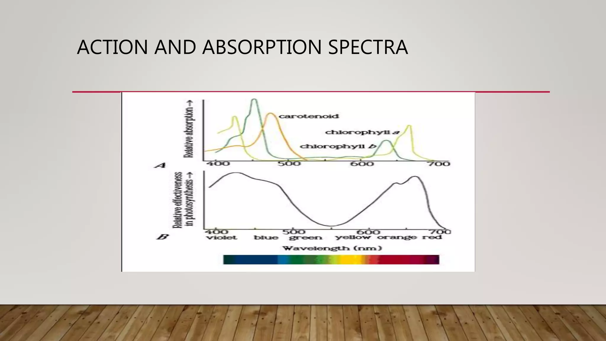 Coupling factors and mechanism of atp synthesis and | PPT