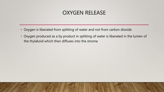 Coupling factors and mechanism of atp synthesis and | PPT