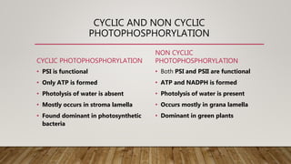 Coupling factors and mechanism of atp synthesis and | PPT