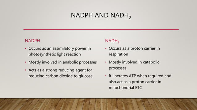 Coupling factors and mechanism of atp synthesis and | PPT