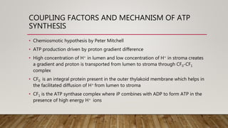 Coupling factors and mechanism of atp synthesis and | PPT