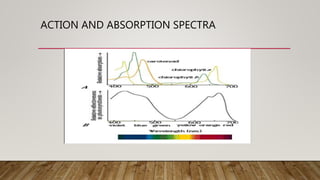 Coupling factors and mechanism of atp synthesis and | PPT