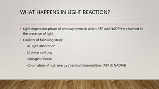 Coupling factors and mechanism of atp synthesis and | PPT