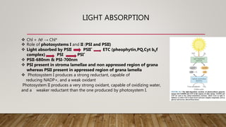 Coupling factors and mechanism of atp synthesis and | PPT