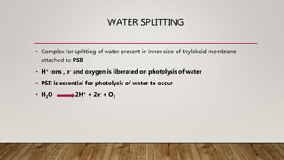Coupling factors and mechanism of atp synthesis and | PPTX
