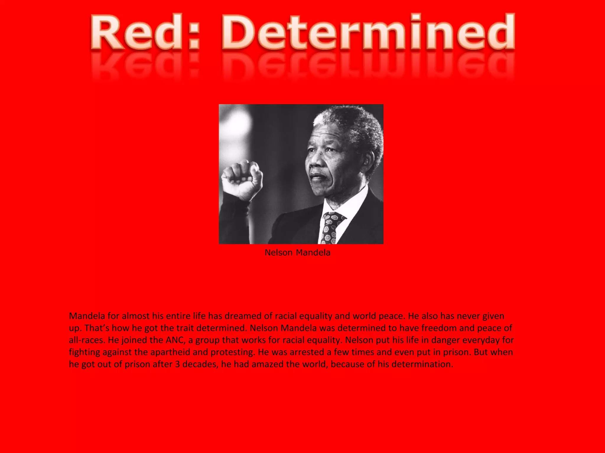 Nelson Mandela-Courage Project | PPT
