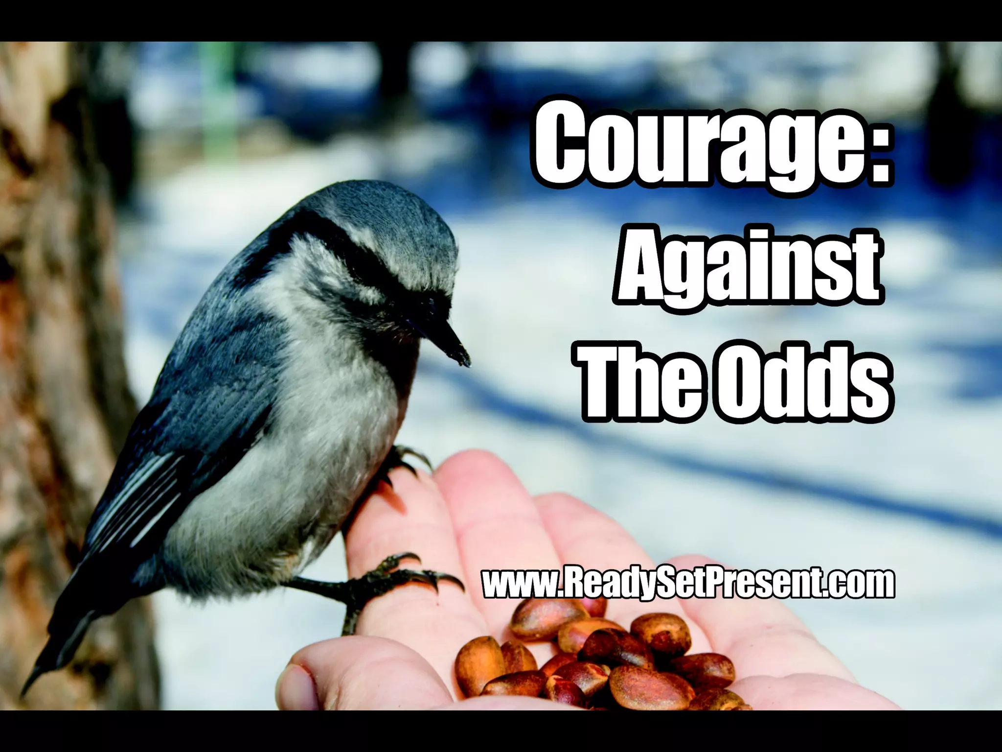 Courage Movie Ppt Version Sample | PPT