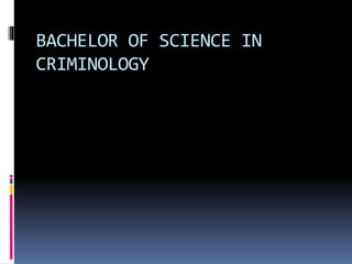 Cources offered | PPT | Free Download