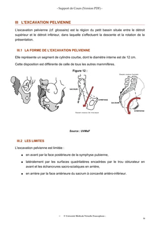 Cours bassinobstetrical | PDF