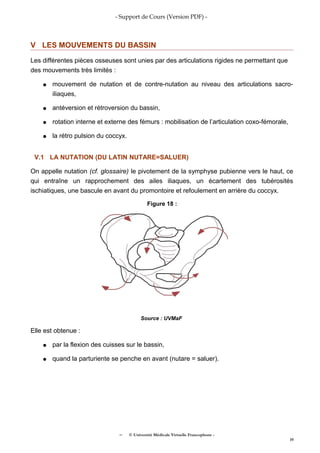 Cours bassinobstetrical | PDF