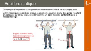 Cours - Biomécanique.pdf