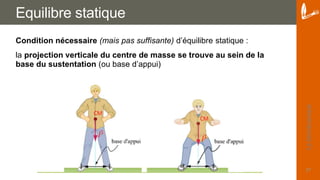 Cours - Biomécanique.pdf