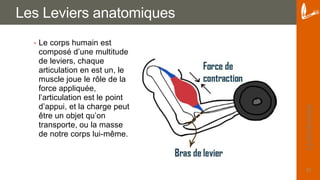 Cours - Biomécanique.pdf