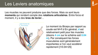 Cours - Biomécanique.pdf