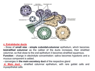 Course 1-5-03 md-histo1 | PDF