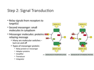 Course 1 signal transduction cell signal.pptx