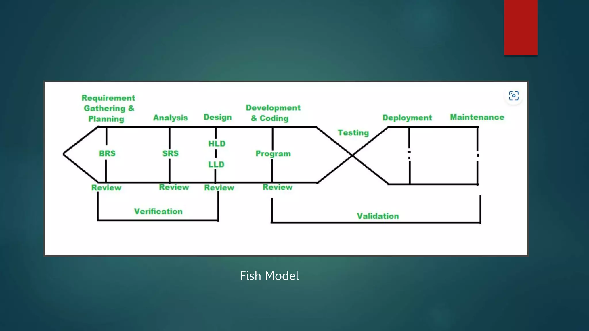SDLC (Software development life Cycle) | PPTX