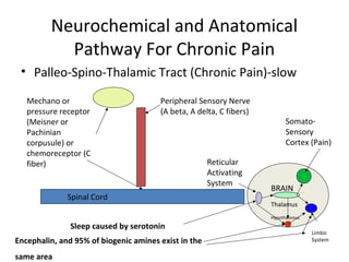 Course 1 acute versus chronic pain | PPT