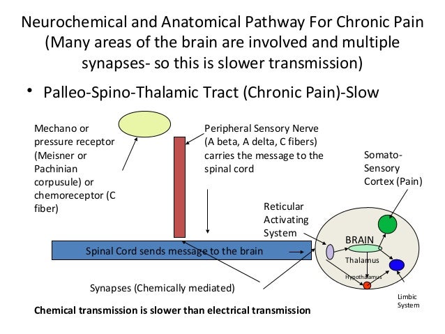 Course 1 acute versus chronic pain Course 1 acute versus chronic pain