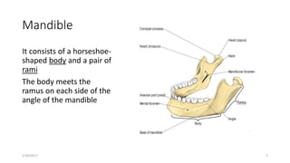 Course 2016 MANDIBLE MUSCLES OF MASTICATION AND TEMPOROMANDIBULAR JOINT ...