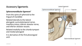 Course 2016 MANDIBLE MUSCLES OF MASTICATION AND TEMPOROMANDIBULAR JOINT ...