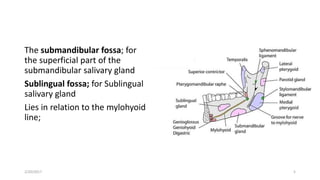 Course 2016 MANDIBLE MUSCLES OF MASTICATION AND TEMPOROMANDIBULAR JOINT ...