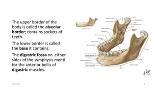 Course 2016 MANDIBLE MUSCLES OF MASTICATION AND TEMPOROMANDIBULAR JOINT ...