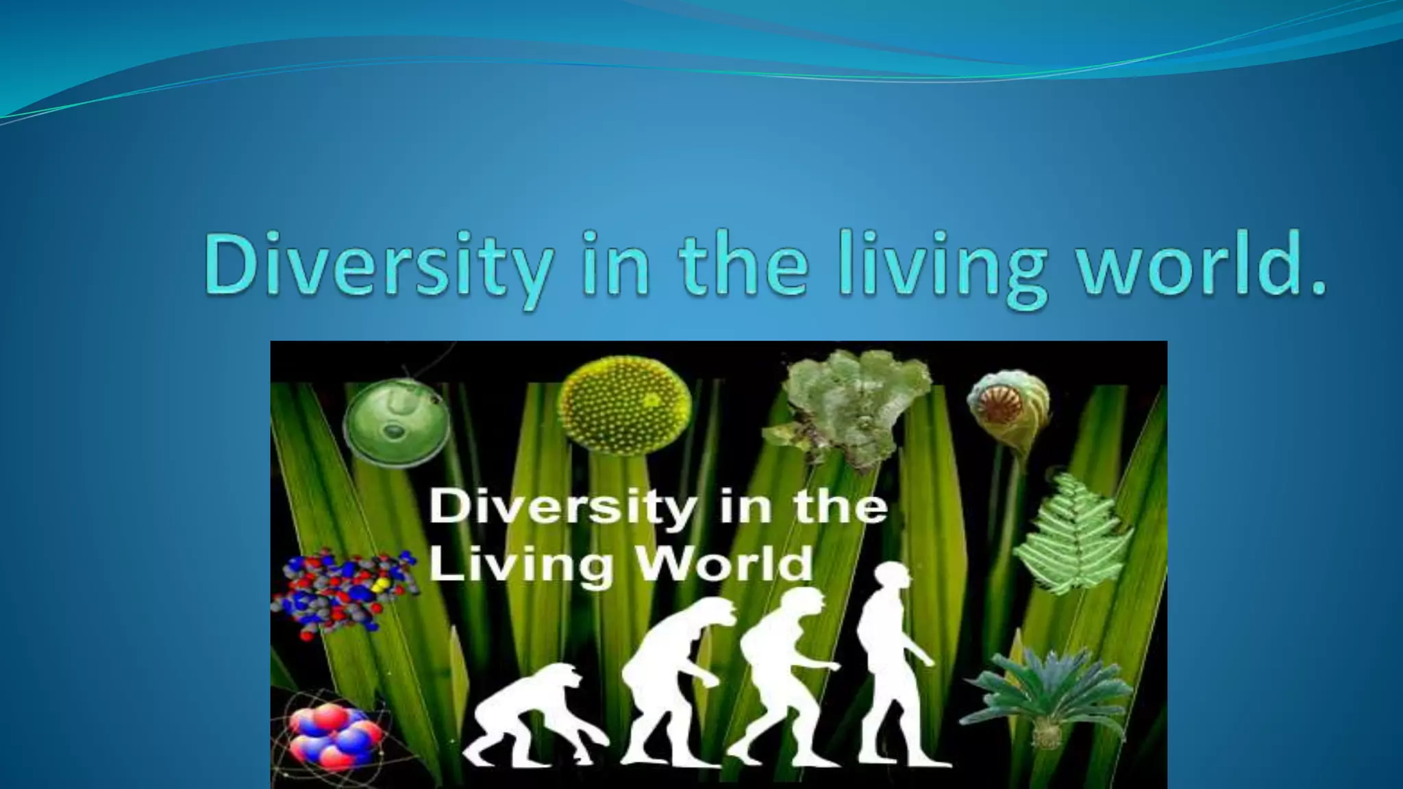 Diversity n The Living World. | PPTX