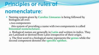 Diversity n The Living World. | PPTX