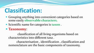TAXONOMICAL CATEGORIES | PPTX