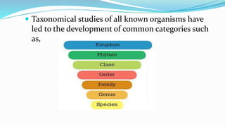 TAXONOMICAL CATEGORIES | PPTX