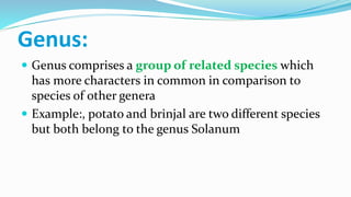 TAXONOMICAL CATEGORIES | PPTX