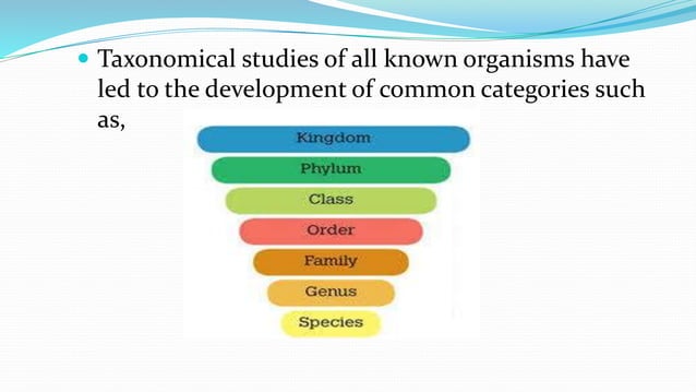 TAXONOMICAL CATEGORIES