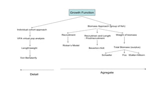 Course 6. Fisheries Bioeconomic modelling.pdf