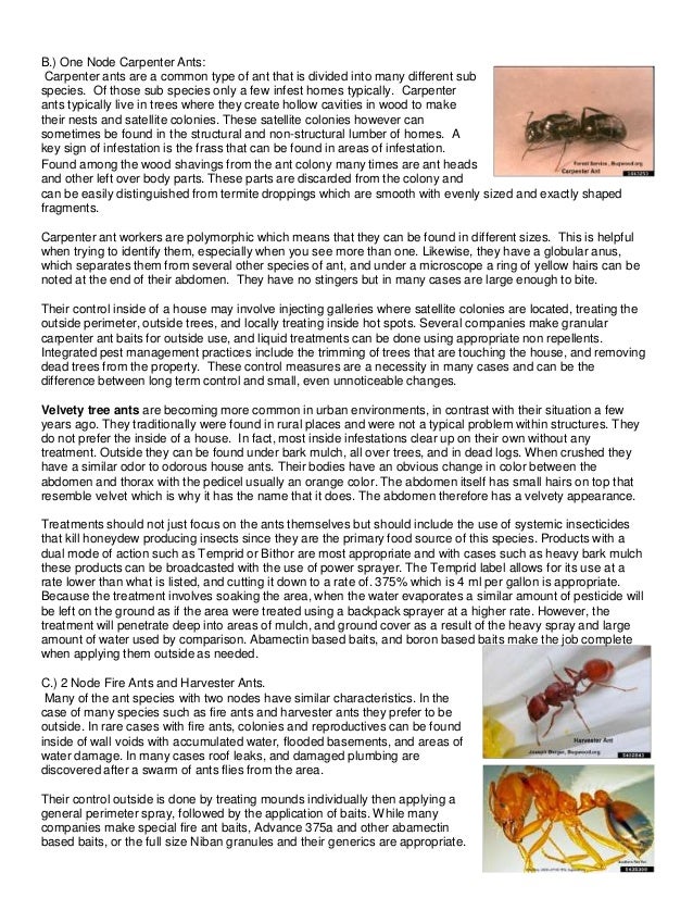 Course Advanced Ant Control.pptx