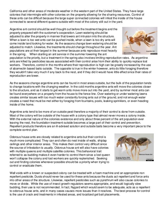 Course Advanced Ants | PPTX