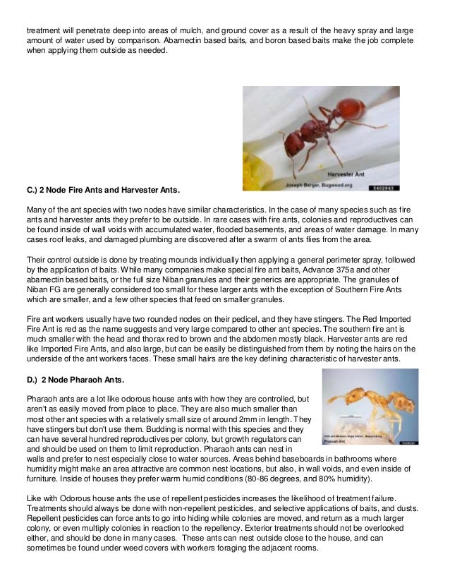 Course Advanced Ants | PPTX